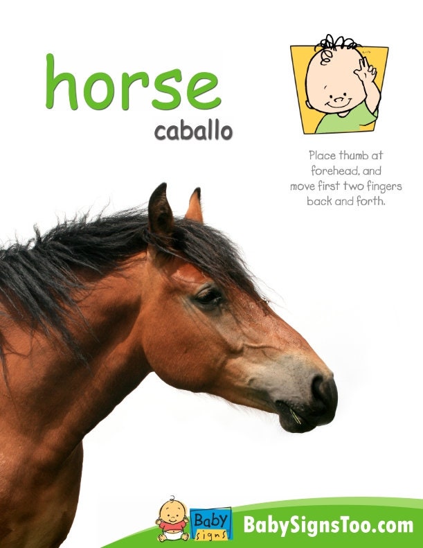 Animal Signs Poster Pack - Etsy