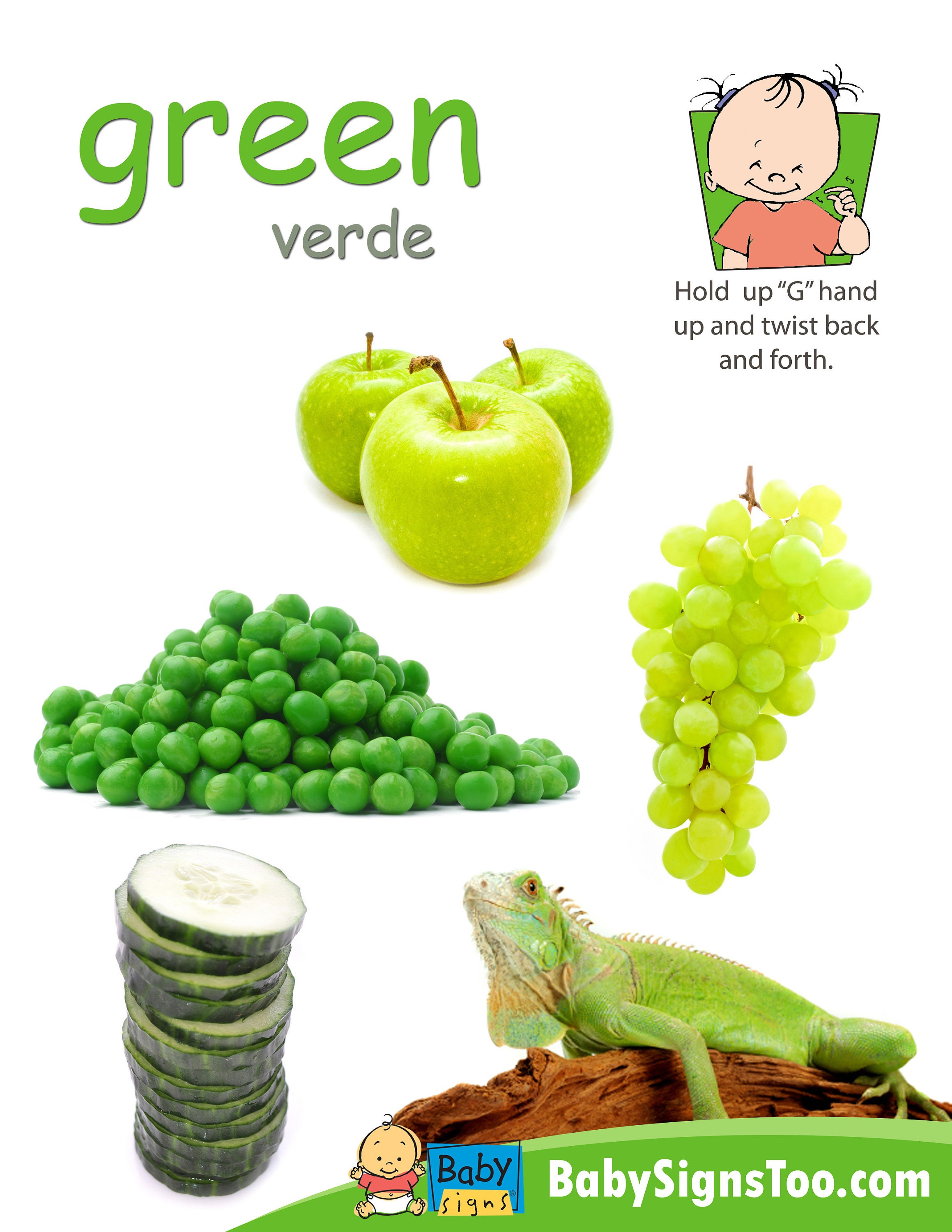 Color Signs Poster Pack - Etsy