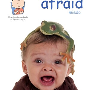Halloween Signs Poster Pack: Bilingual Toddler Learning (digital ...