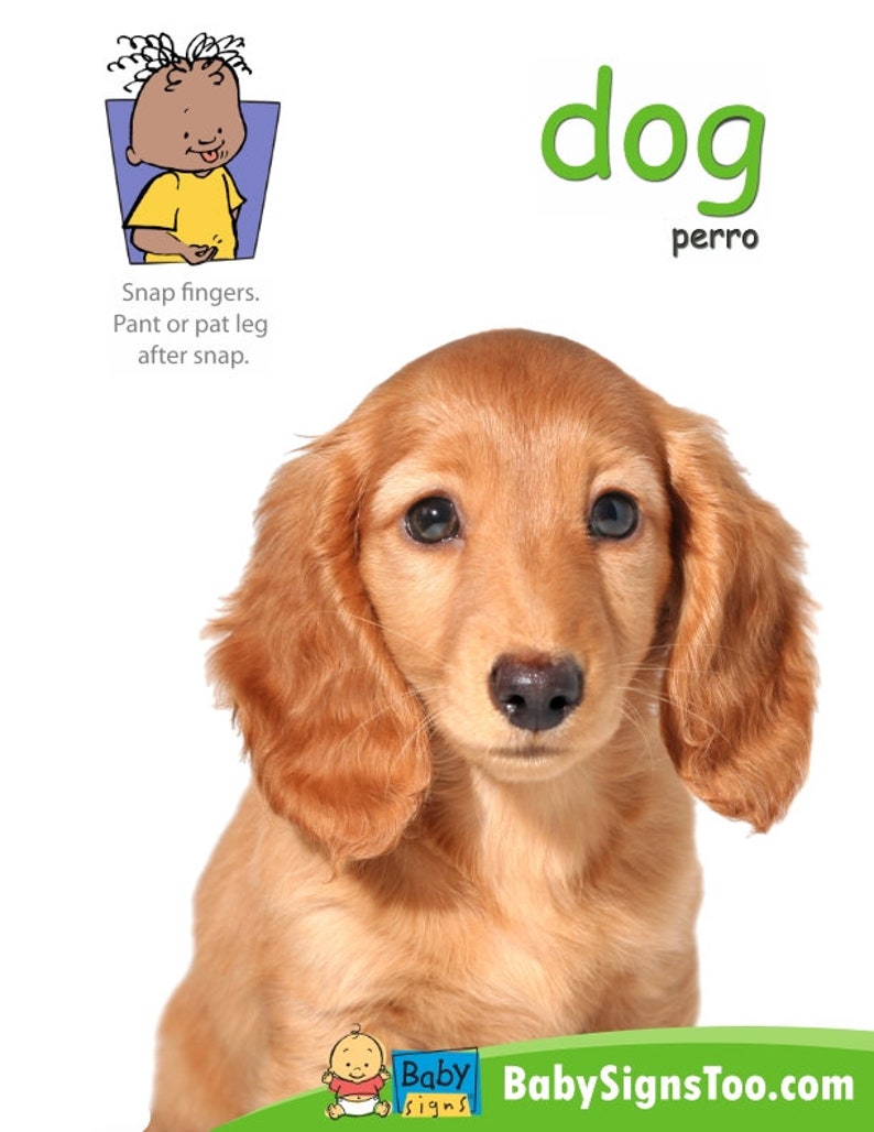 Pet Signs Poster Pack - Etsy