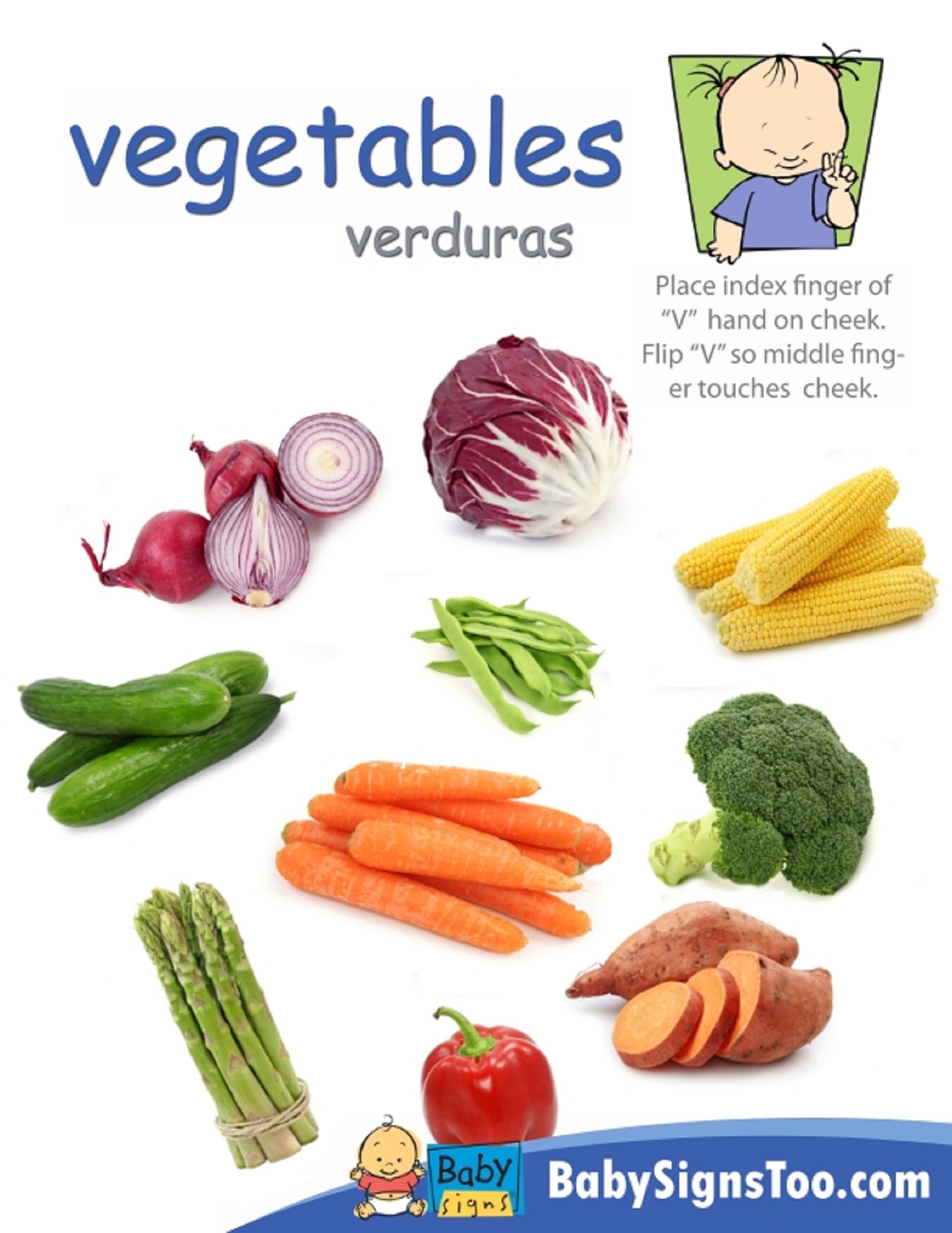 Food Signs Poster Pack - Etsy