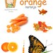Color Signs Poster Pack - Etsy