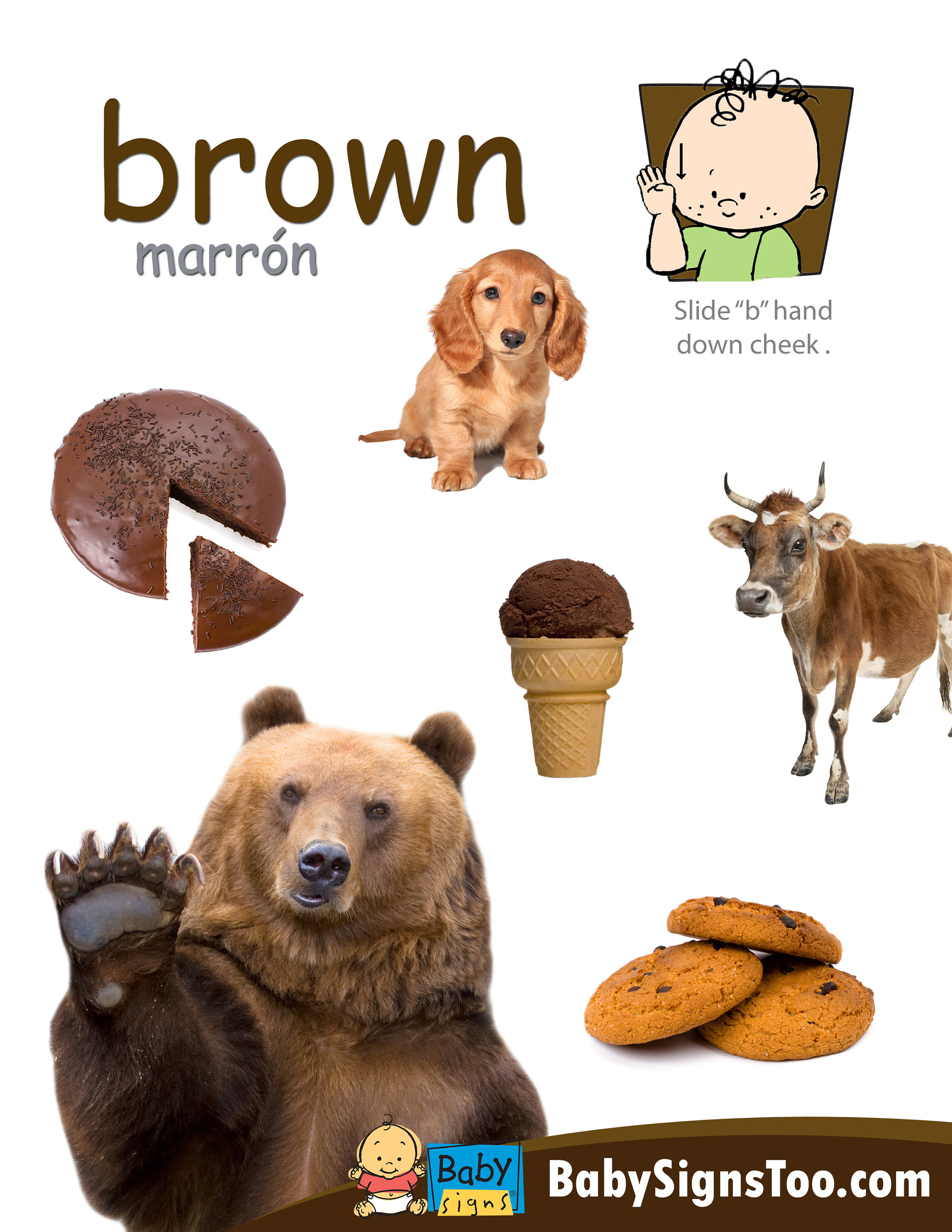 Color Signs Poster Pack - Etsy