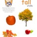 Halloween Signs Poster Pack: Bilingual Toddler Learning (digital ...