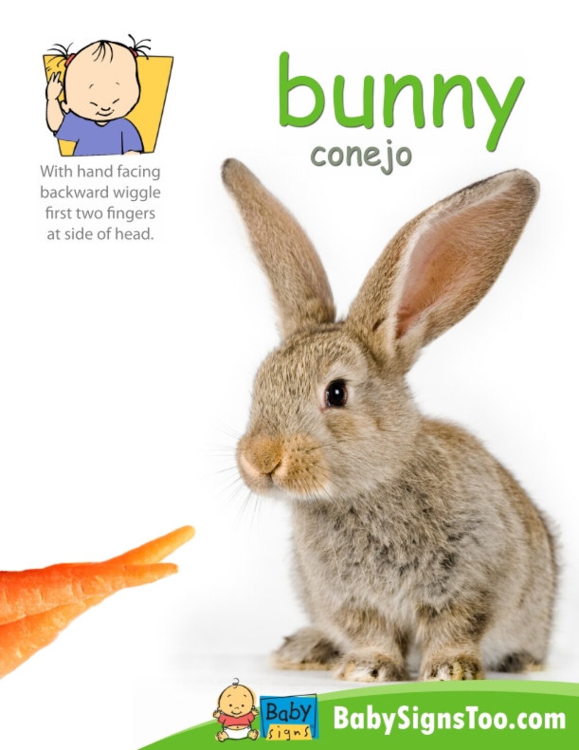 Pet Signs Poster Pack - Etsy