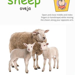 Farm Animal Signs Poster Pack - Etsy