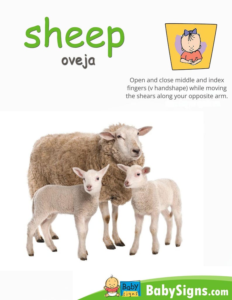 Farm Animal Signs Poster Pack - Etsy