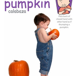 Halloween Signs Poster Pack: Bilingual Toddler Learning (digital ...