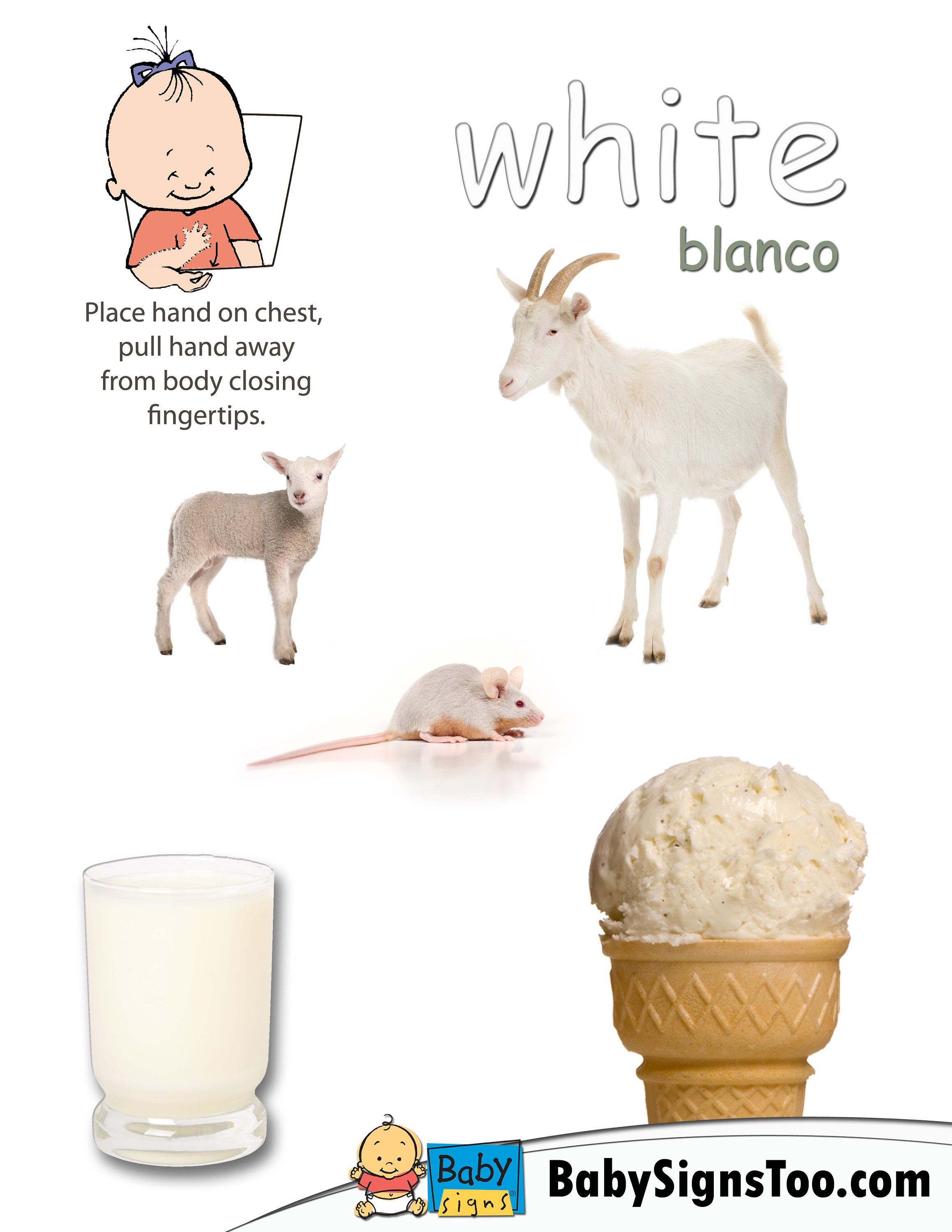 Color Signs Poster Pack - Etsy