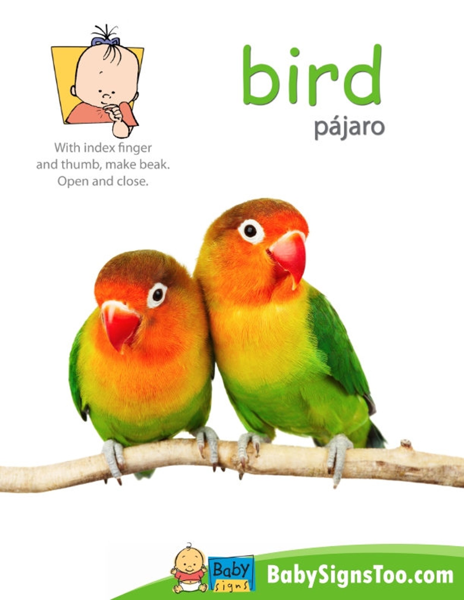 Spring Signs Poster Pack - Etsy