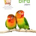 Spring Signs Poster Pack - Etsy