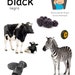 Halloween Signs Poster Pack: Bilingual Toddler Learning (digital ...