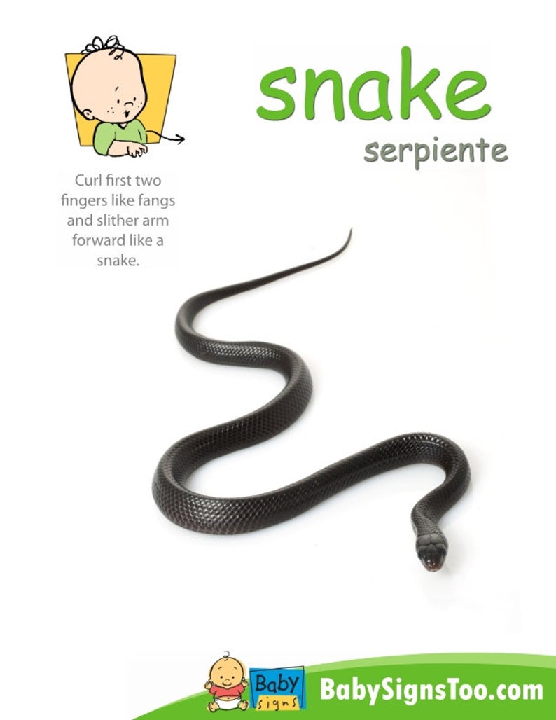 Animal Signs Poster Pack - Etsy
