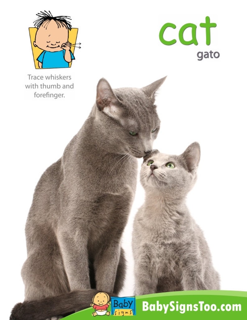 Pet Signs Poster Pack - Etsy