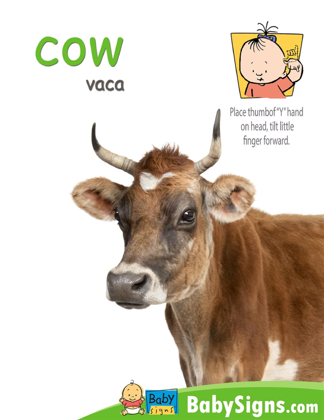 Farm Animal Signs Poster Pack - Etsy