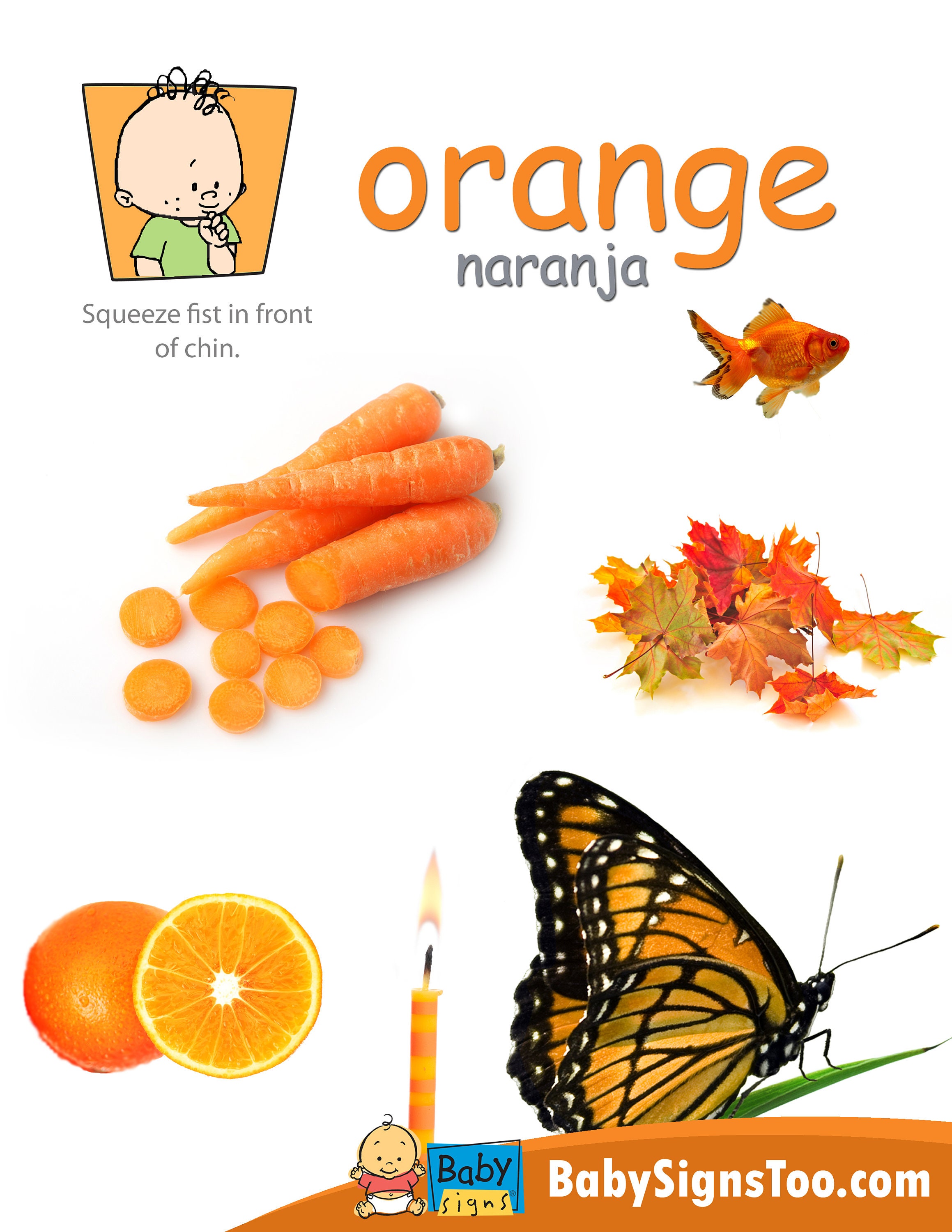 Color Signs Poster Pack - Etsy