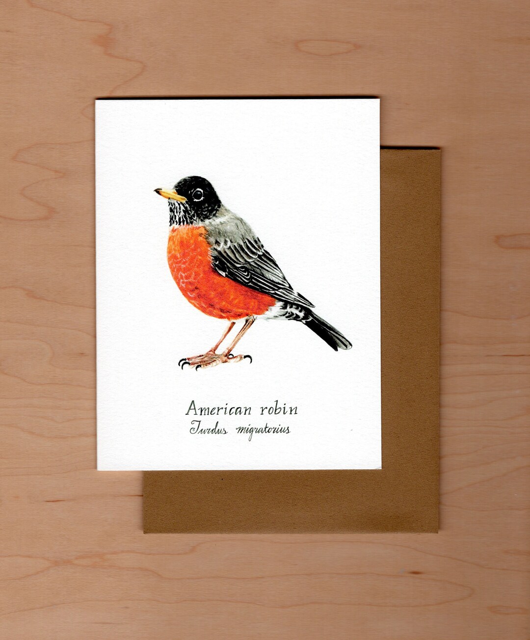 Bird Note Card -american Robin, Robin Note Card, Blank Note Card, Bird ...