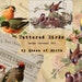 TATTERED BIRDS Big Journal Kit & BONUS collage ephemera paper | Etsy