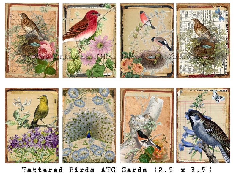 8 Tattered Birds Cards ATC 2.5 X 35 Nest Floral | Etsy