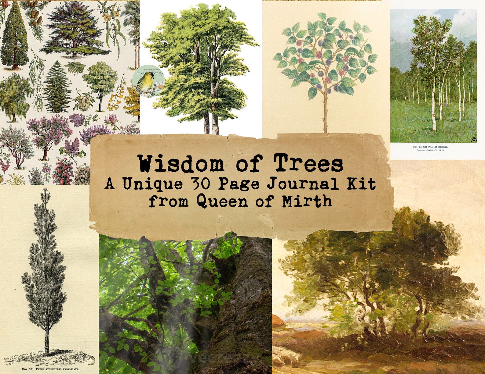WISDOM OF TREES Large Journal Kit Printable Digital Download Tree Junk ...