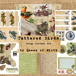 TATTERED BIRDS Big Journal Kit & BONUS Collage Ephemera Paper Bundle ...