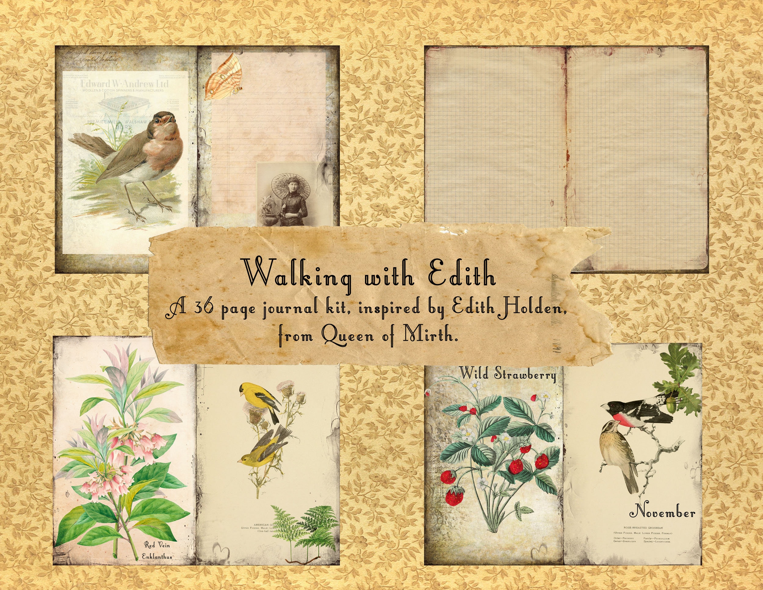 November Edith Holden Vintage Book Pages Pack The Country Diary of an ...