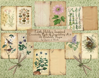 August Edith Holden Vintage Book Pages Pack the Country Diary of an ...