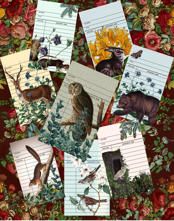 Woodland Animals Library Cards Bear Skunk Squirrel Owl - Etsy