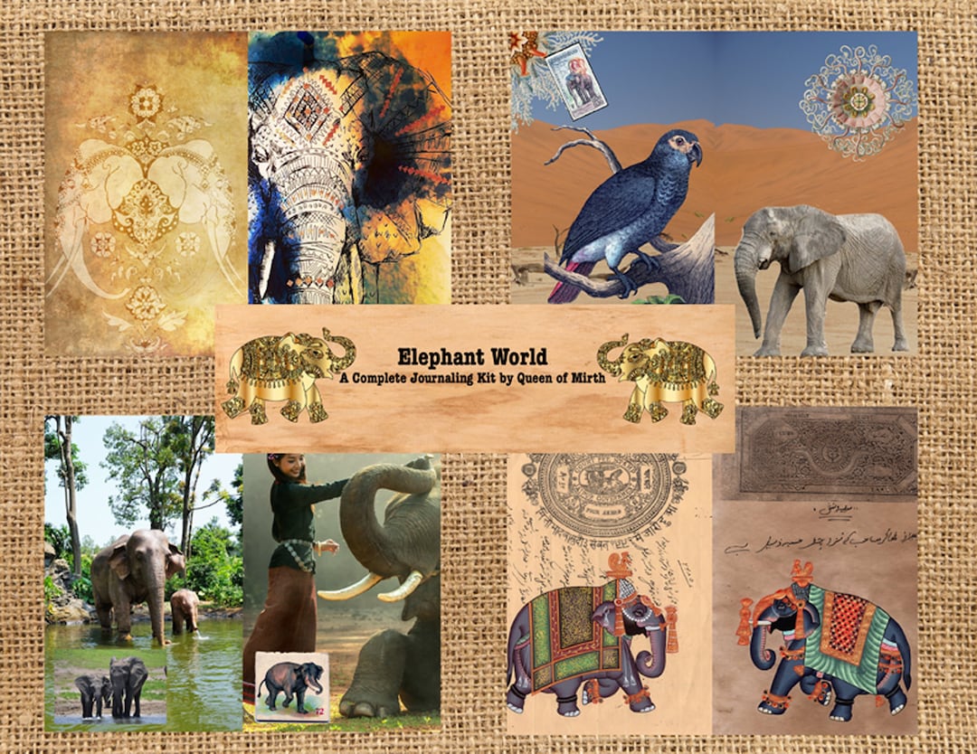 ELEPHANT WORLD Journal Kit Africa India Jungle Animal Endangered ...