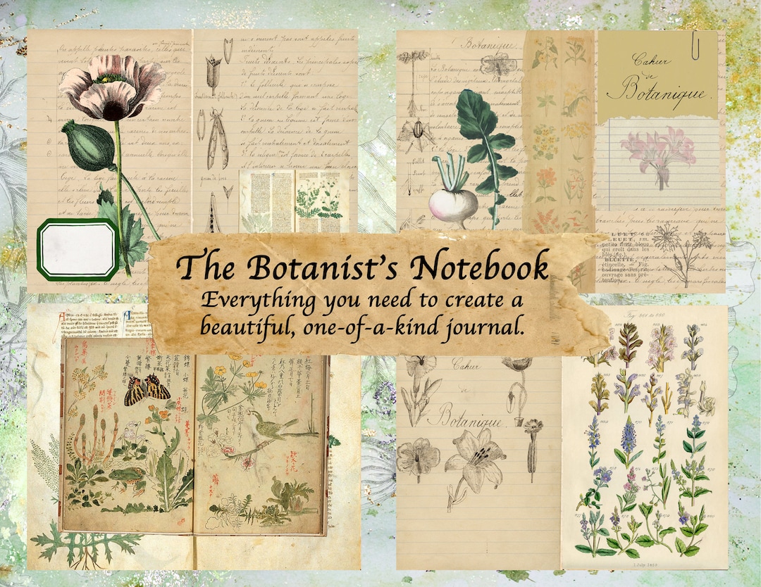The Botanist's Notebook Journaling Kit Botany Botanical Garden Digital ...