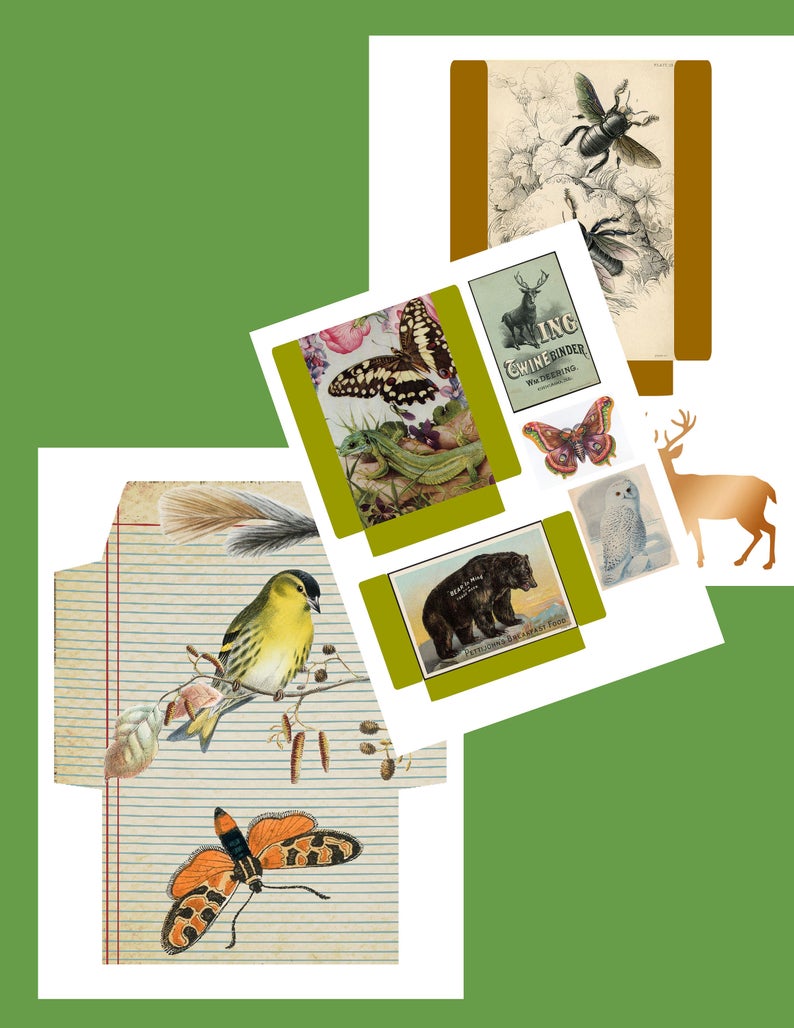 Woodland Animals Journal Kit Forest Wild Creatures Art Book - Etsy