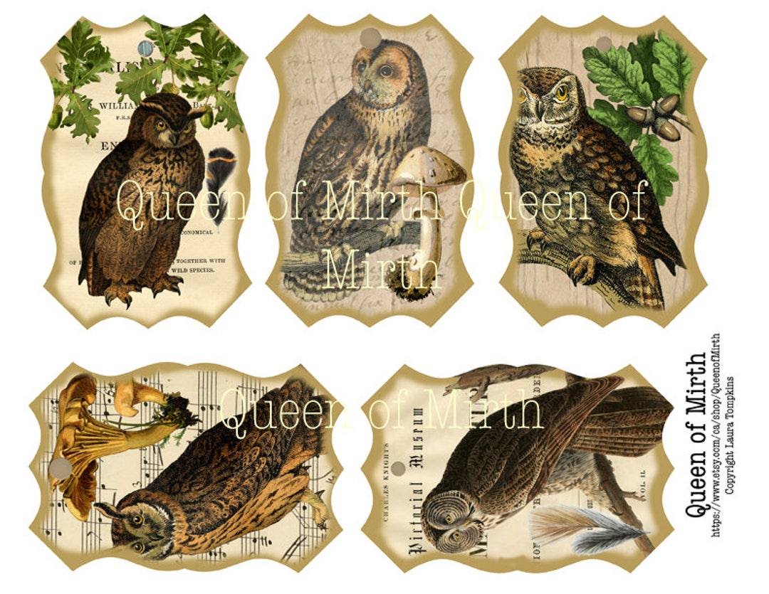 OWL Cards Woodland Forest Nature Tags Printable Digital Download Owls ...