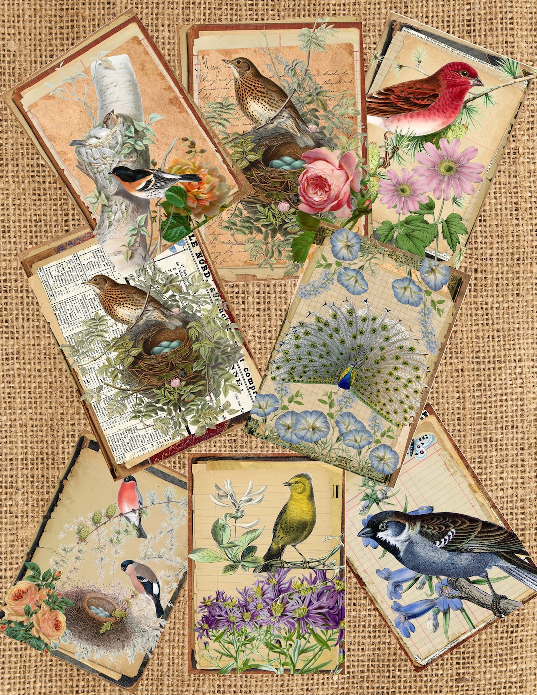 8 Tattered Birds Cards ATC 2.5" X 3,5" Nest Floral Printable Ephemera ...