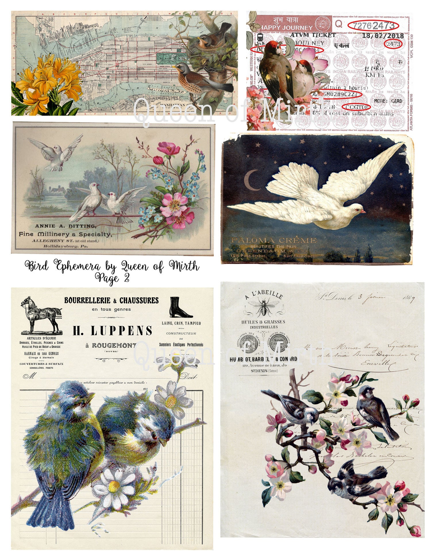 Vintage Bird Ephemera Paper Pack Bundle Receipts Tickets Junk | Etsy
