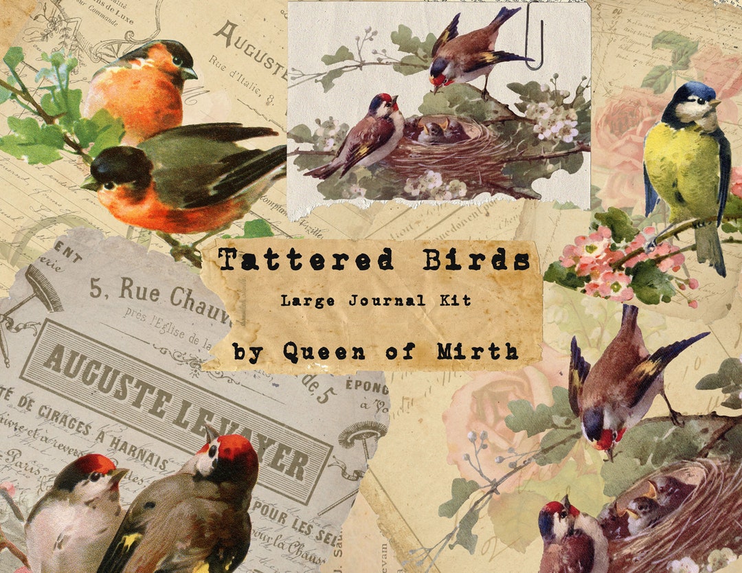 TATTERED BIRDS Big Journal Kit & BONUS Collage Ephemera Paper Bundle ...