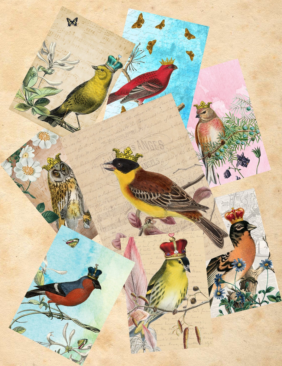 Crowned Birds FOREST SECRETS Printable Cards 2.5" X 3.5" Instant ...