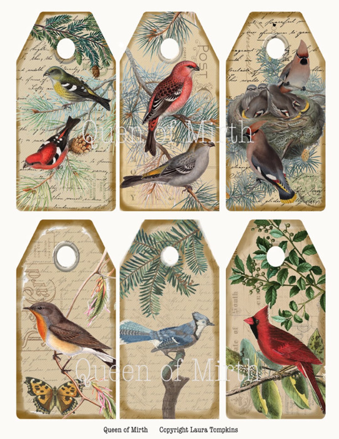 WINTER BIRDS TAGS Natural History Vintage Junk Journal Printable ...