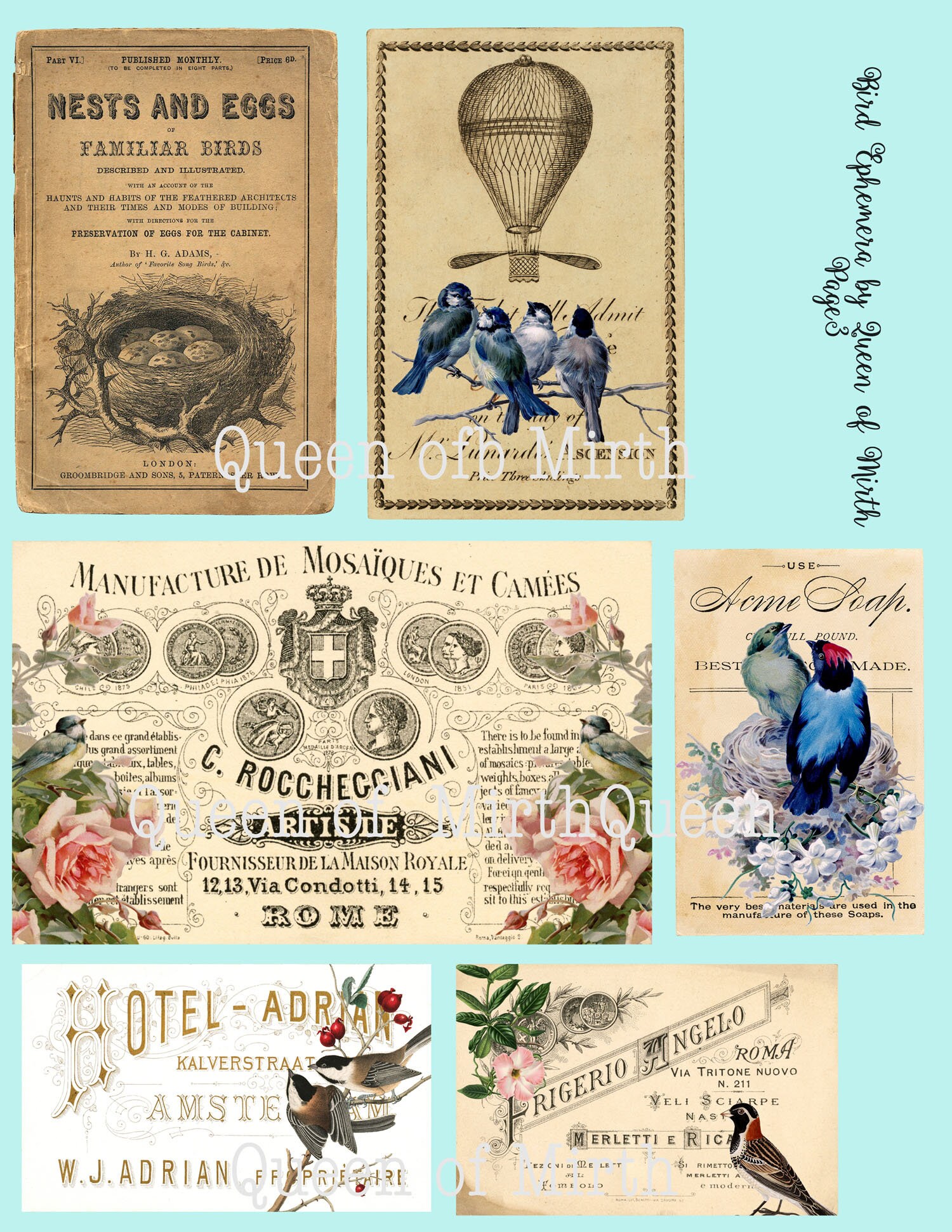 Vintage Bird Ephemera Paper Pack Bundle Receipts Tickets Junk | Etsy