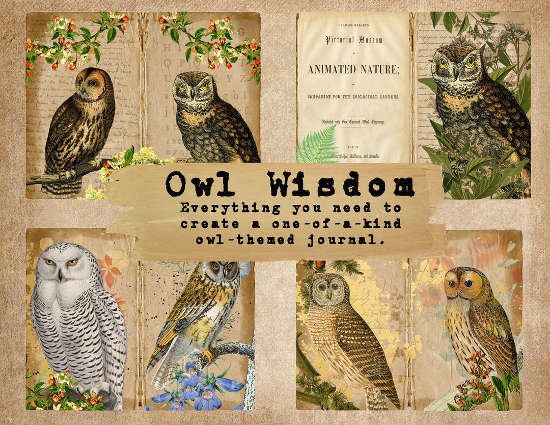 Owl Wisdom Large Journaling Kit Printable Owl Birds Floral Botanical ...