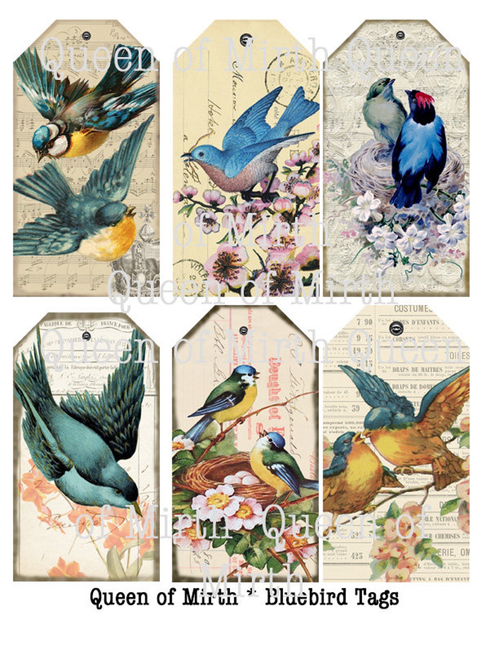 Beautiful Bluebirds Gift Tags Birds Nest Printable Digital - Etsy