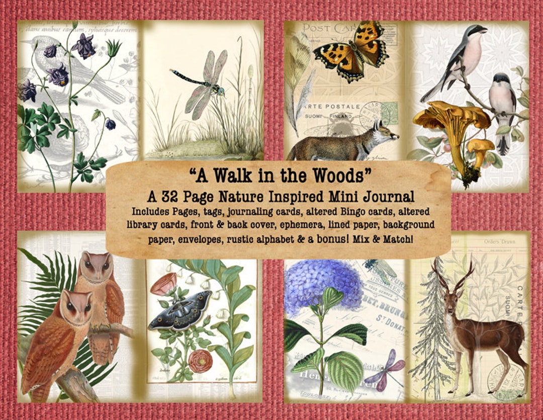 A Walk in the Woods Journal Kit WITH BONUS Nature Walk Woodland ...