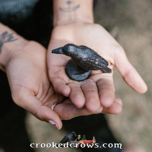 Licorice Bitters Natural Herbal Digestive Bloating Vegan Indigestion ...