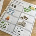 Summer Educational Printable, Prechool or Kindergarten, Number Activity ...