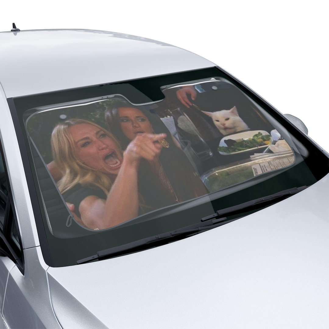 Funny Car Sun Shades - Meme Sun Shade for Car, Woman Yelling at Cat ...