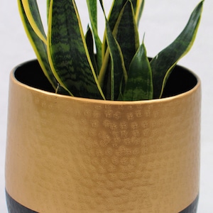 Gold Planters, Black and Gold Planters, Gold Home Decor, Gold Wedding ...