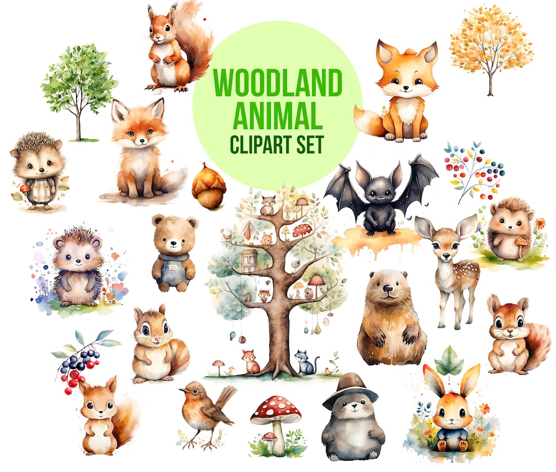 Watercolor Woodland Animal Clipart Set, Nursery, Kindergarten Clipart ...