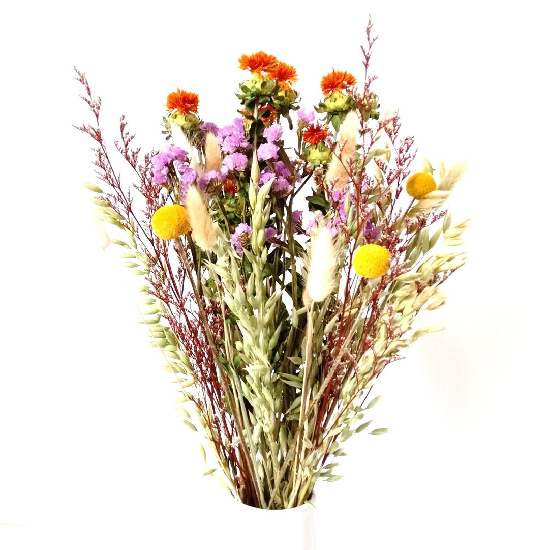 Farm Style Dried Natural Flower Bouquet Bunny Tail Grass - Etsy
