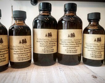 Spilanthes Plant - Etsy