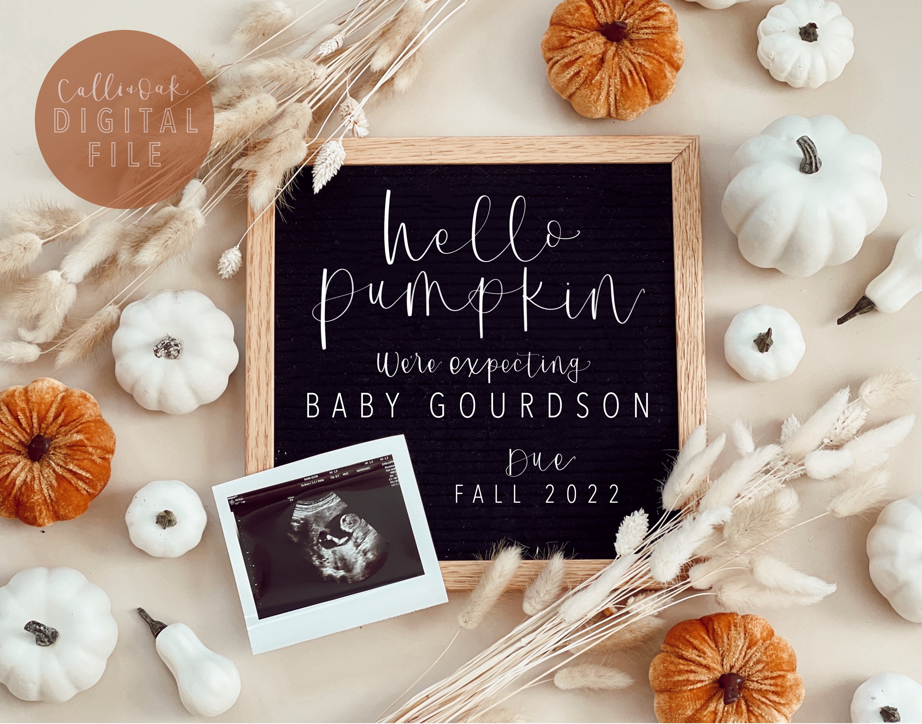 Little Pumpkin Coming Soon Baby Announcement Sign On A Rustic White ...