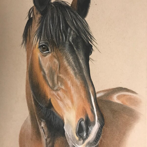 Horse Colored Pencil - Etsy